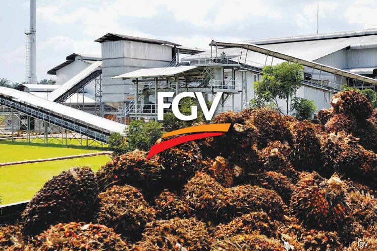 FGV第三季亏损收窄至2.62亿
